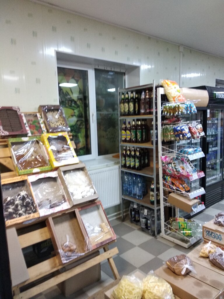 Market IP Salakhyan Grocery Store, Yaroslavskaya oblastı, foto