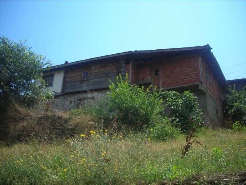 Cami Cumakayalı Köyü Gürlen Mahallesi Cami, Saraydüzü, foto
