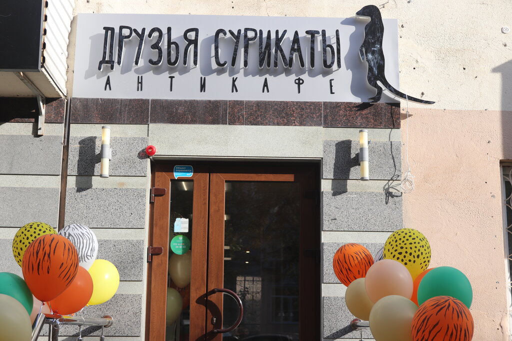 Antikafe Meerkats Friends, Ufa, foto