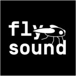 Flysound (Sergeya Eyzenshteyna Street No:8с1, Moscow), ses kayıt stüdyoları  Moskova'dan