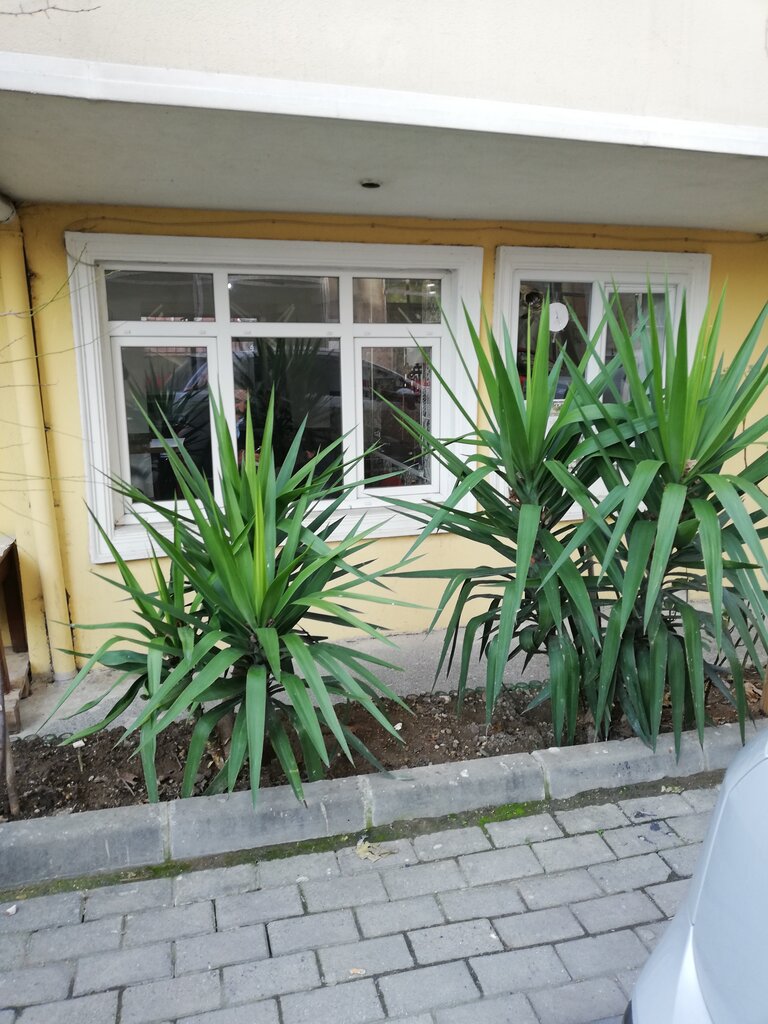 Kafe Kerem Baba Çay Ocağı, İstanbul, foto