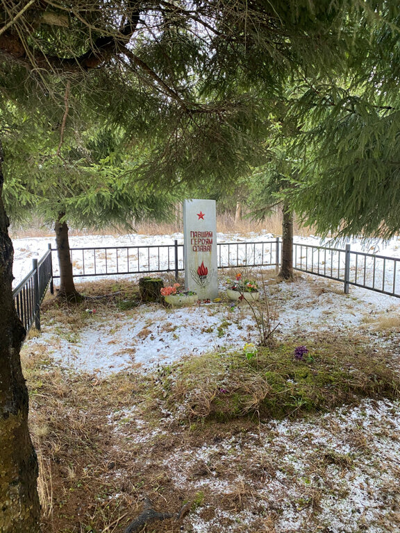 Anıt, heykel Неизвестный солдат, Moskova ve Moskovskaya oblastı, foto