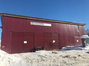 Автосервис (Nizhegorodskaya ulitsa No:90, rabochiy posyolok Krasnyye Baki), otomobil servisi  Nijegorodskaya oblastından