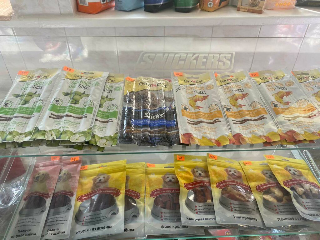 Veteriner klinikleri KoTi, Gomel, foto