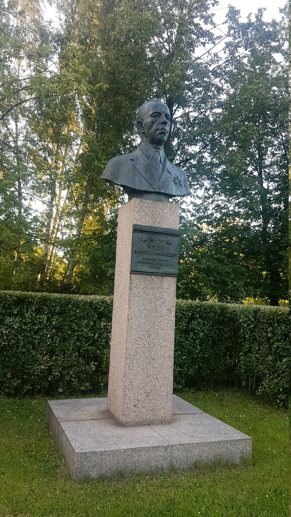 Anıt, heykel Дважды Герой Социалистического труда Алексей Васильевич Чуев, Saint‑Petersburg, foto