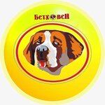 Bethoven (Pobedy Avenue No:48), petshop  Kursk'tan