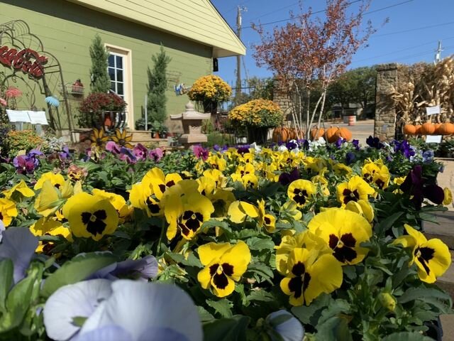 Çiçek teslimatı Meador's Garden Center & Landscaping, Denton, foto