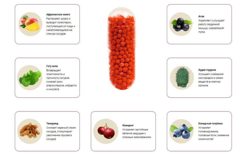 i̇laç firmaları Mikardinesu, Moskova, foto