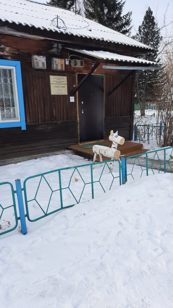 Kütüphaneler Library, Krasnoyarski krayı, foto