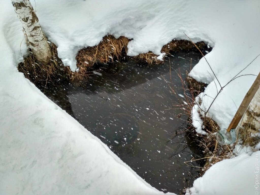 Pınar, çay Spring, stream, Arhangelskaya oblastı, foto