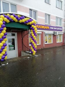 Kapibara sushi (Savieckaja vulica No:29), suşi restoranı  Orsha'dan
