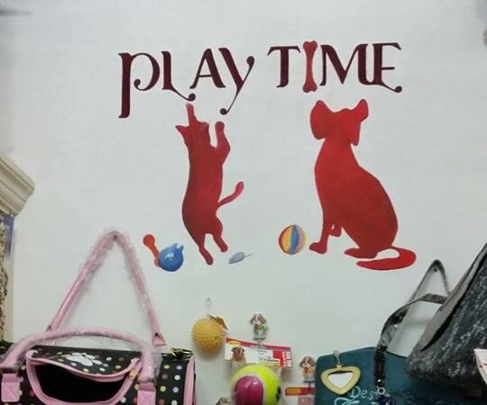 Petshop Pazzi per Pets, Roma, foto