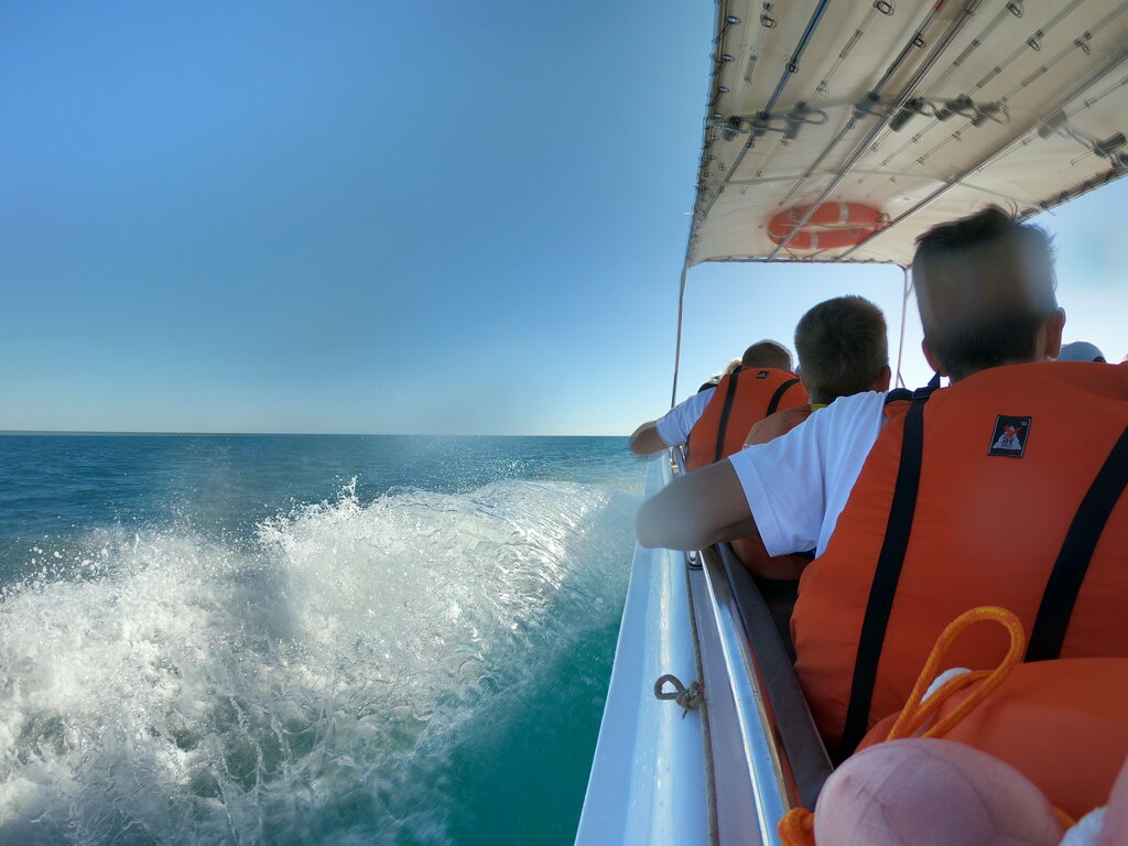 Geziler Boat Trips Sea Cat, Krasnodarski krayı, foto