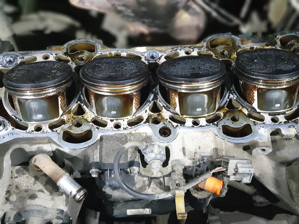 Otomobil servisi Ford Reanimator, Smolensk, foto