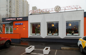 Silver Spoon (Vasiliya Petushkova Street No:13к2, Moscow), pizzacılar  Moskova'dan