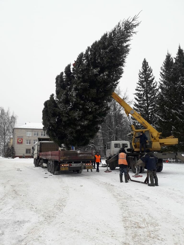 Konut servisleri kuruluşları МУП Коммунальник, Shumerlya, foto