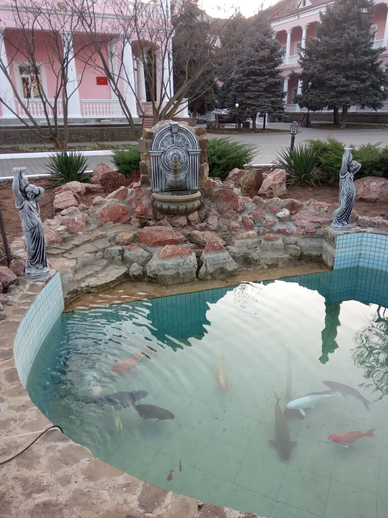 Anıt, heykel Н.И. Пирогов, Saki (Sak), foto