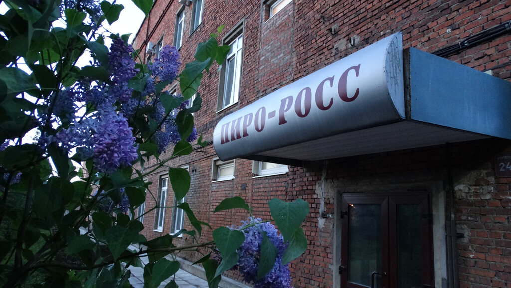 Havai fişek firmaları Piro-Ross, Sergiyev Posad, foto