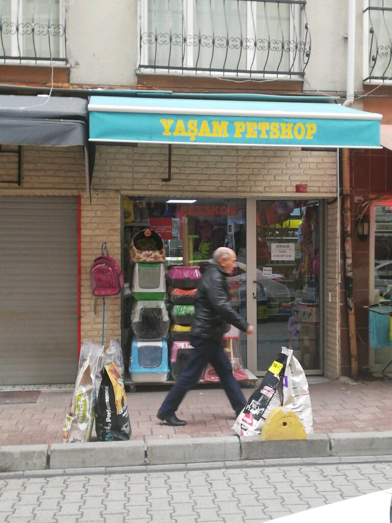 Petshop İpek Petshop, İstanbul, foto