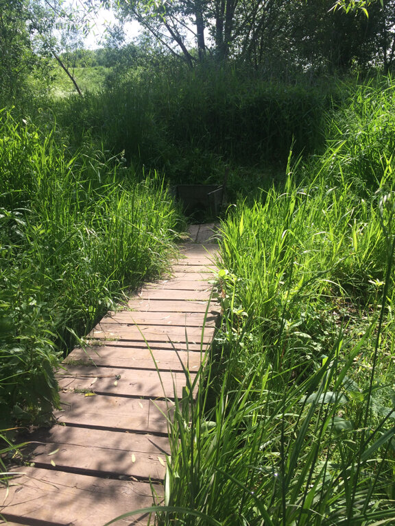 Pınar, çay Spring, stream, Moskova, foto