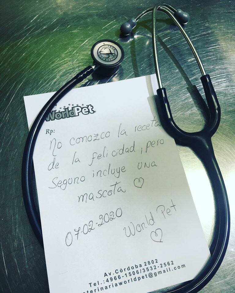 Veteriner klinikleri World Pet Veterinaria, Buenos Aires, foto
