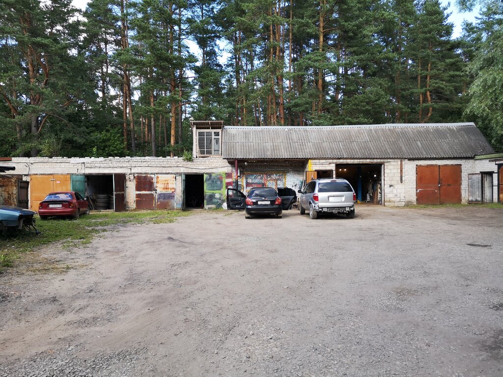 Autodiagnostics Автоэлектроника, Pskovskaya oblastı, foto