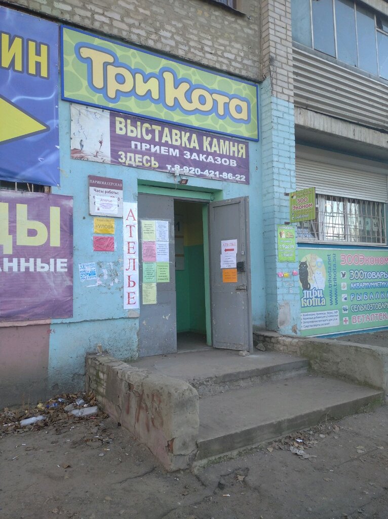 Petshop Tri kota, Voronej, foto