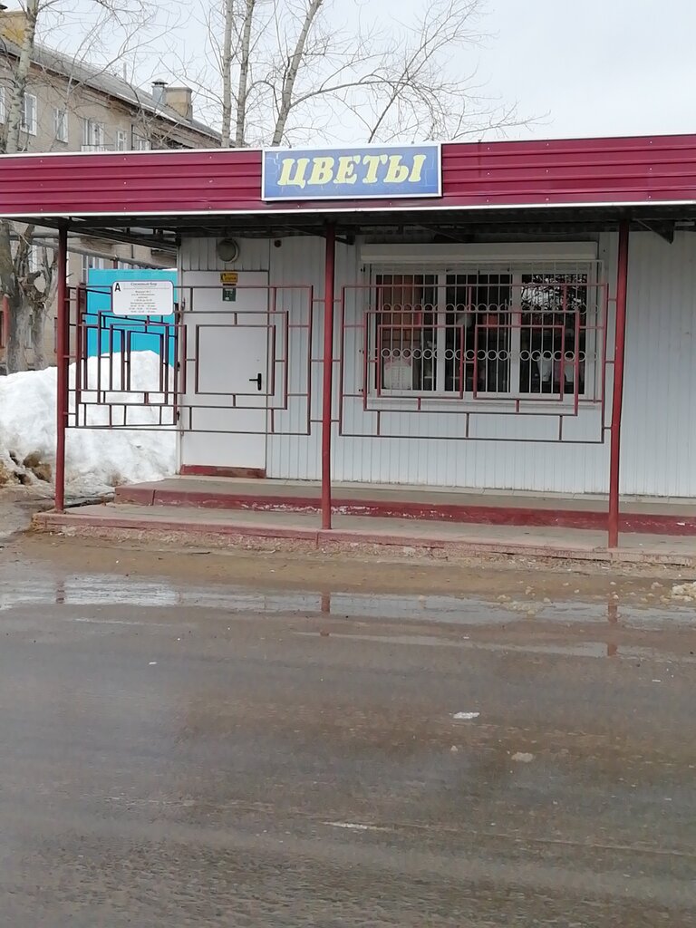 Çiçekçiler Цветущий сад, Teykovo, foto
