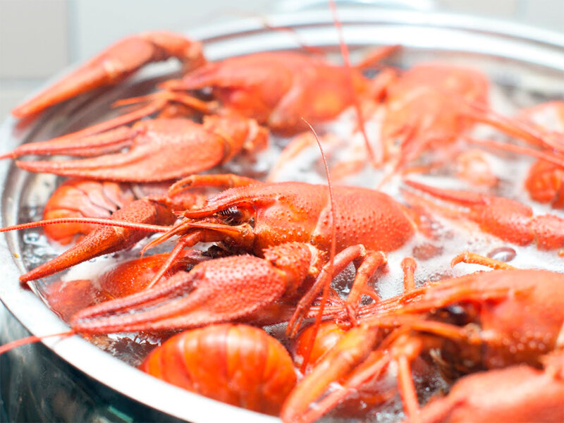 Hazır yemek teslim servisleri Raki 38, Irkutsk, foto