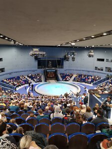 Sirkler Vladivostok State Circus, Vladivostok, foto