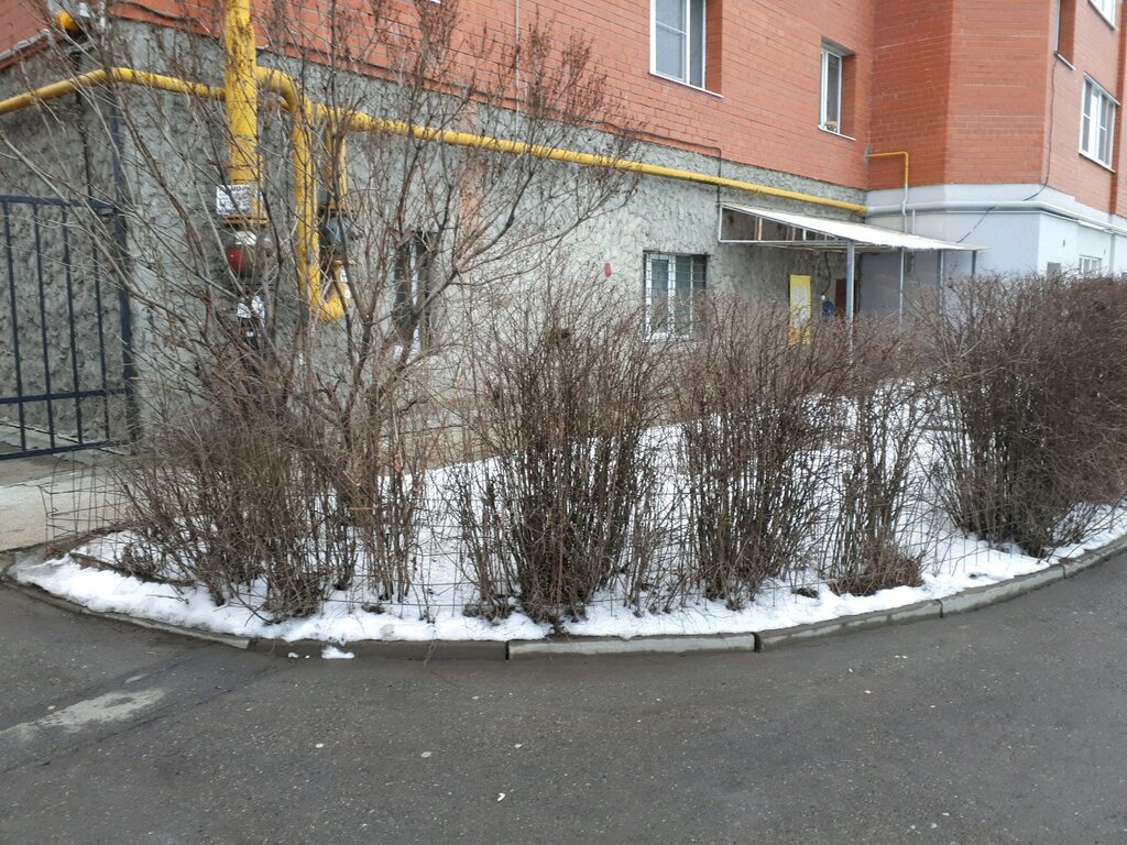 Bina, site yönetimi Касимовское-3, ТСЖ, Riazan, foto