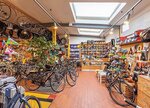 Fahrradgeschäft - Auf Draht Köln (Weyertal No:18, Köln), bisiklet mağazaları  Köln'den