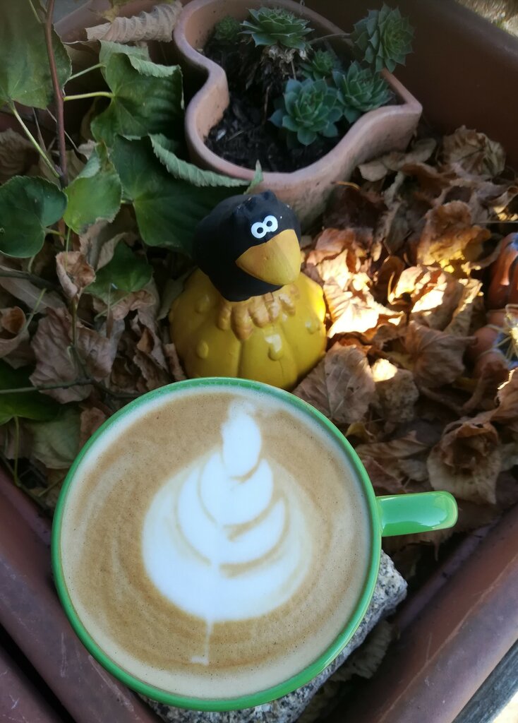 Kahve dükkanları Cafe Tasse Inh. Birgit Fay, Bavyera, foto