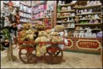 Il Paradiso dei Bambini dei F. lli Pinton Stefano & Valentina SAS (Venice, Treviso, Via Manin, 32), çocuk oyunları ve oyuncakları  Treviso'dan