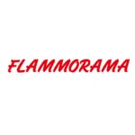 Flammorama AG (Aargau, Lenzburg, Wiesenweg, 40), soba, şömine  Aargau'dan