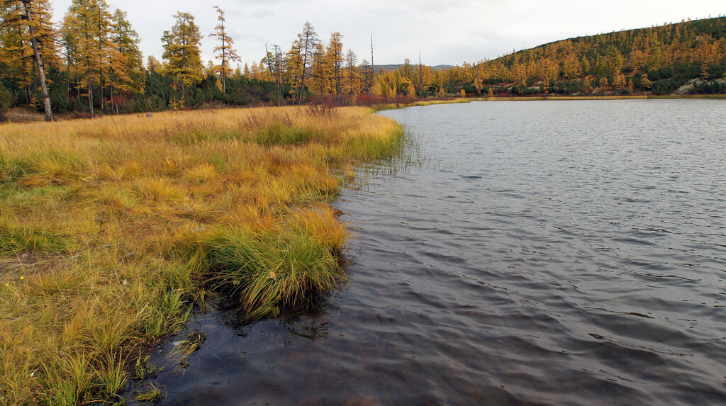 Termal otel Magadansky Oblastnoy Sanatory Talaya, Magadan Bölgesi, foto