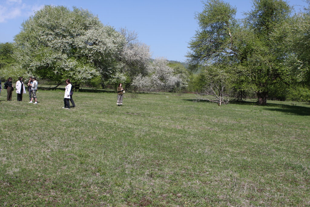 Tıbbi rehabilitasyon merkezleri ООО СКО Курорты Осетии, филиал пансионат Урсдон, Kuzey Osetya‑Alanya, foto