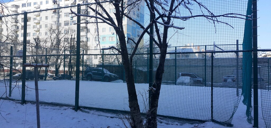 Spor alanı Баскетбольная площадка, Vladivostok, foto