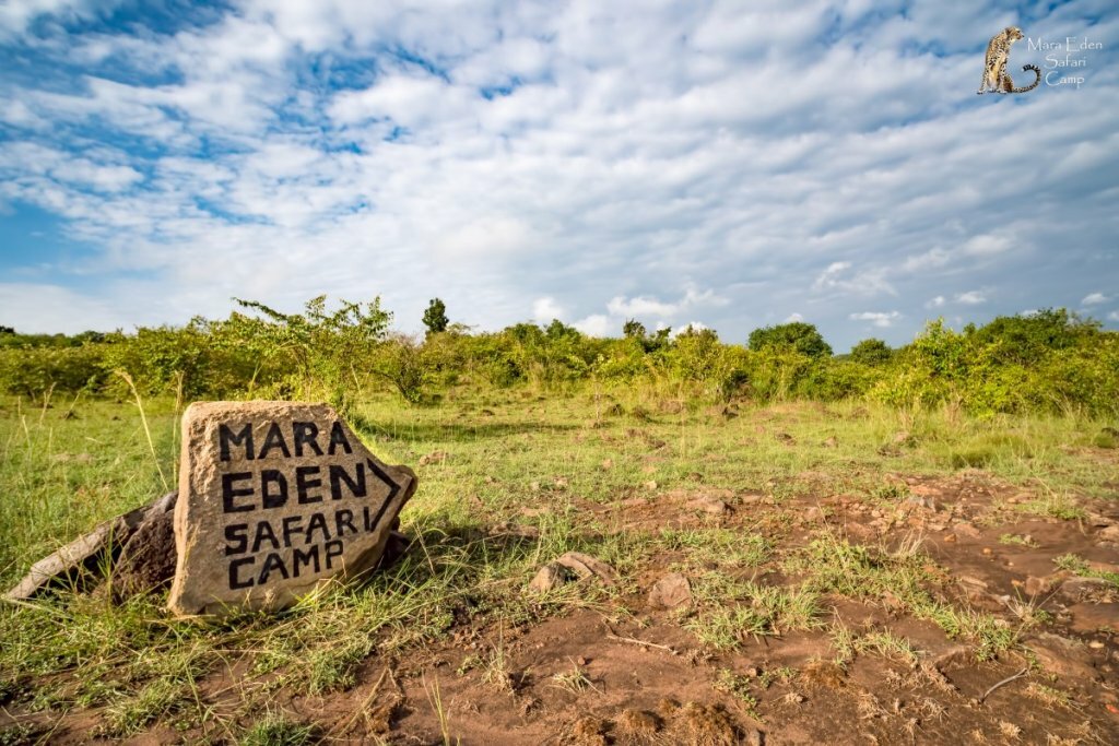 Otel Mara Eden Safari Camp, Dünya, foto