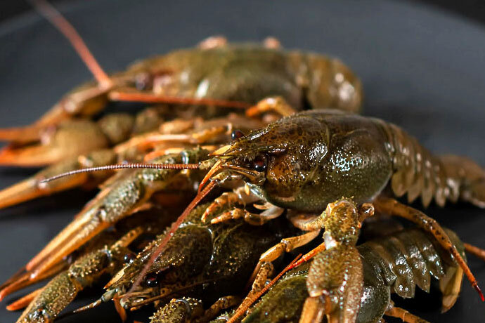 Balık ve deniz ürünleri Big Rakowski, Moskova, foto