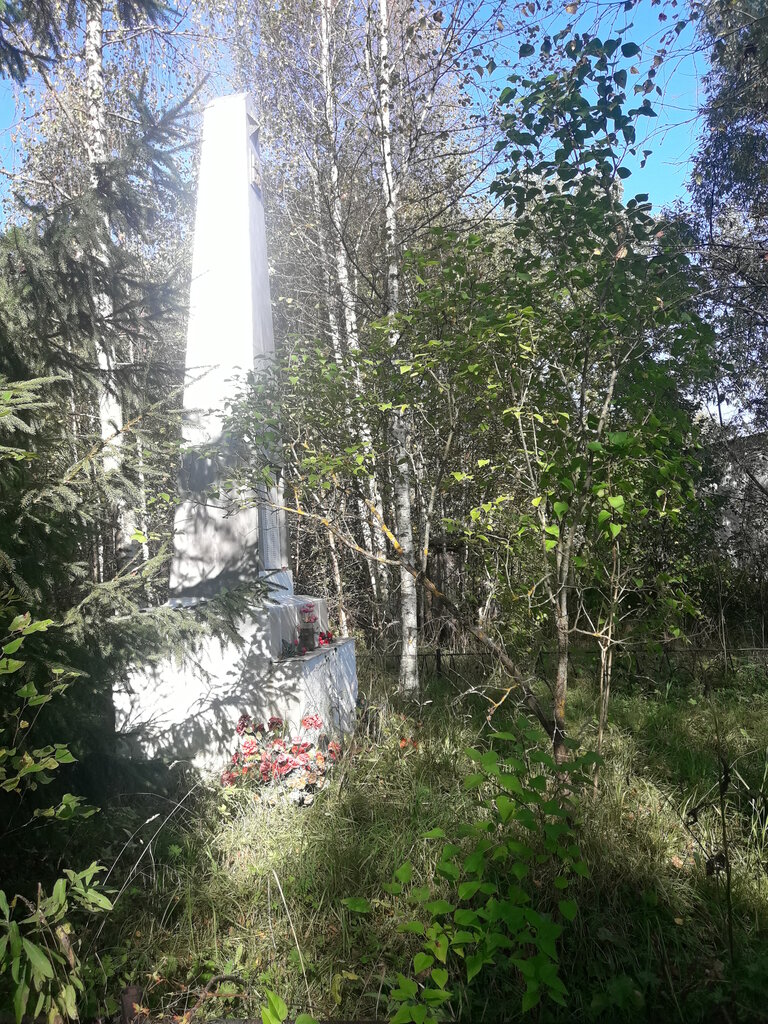 Anıt, heykel Обелиск в память о Великой Отечественной войне, Tverskaya oblastı, foto