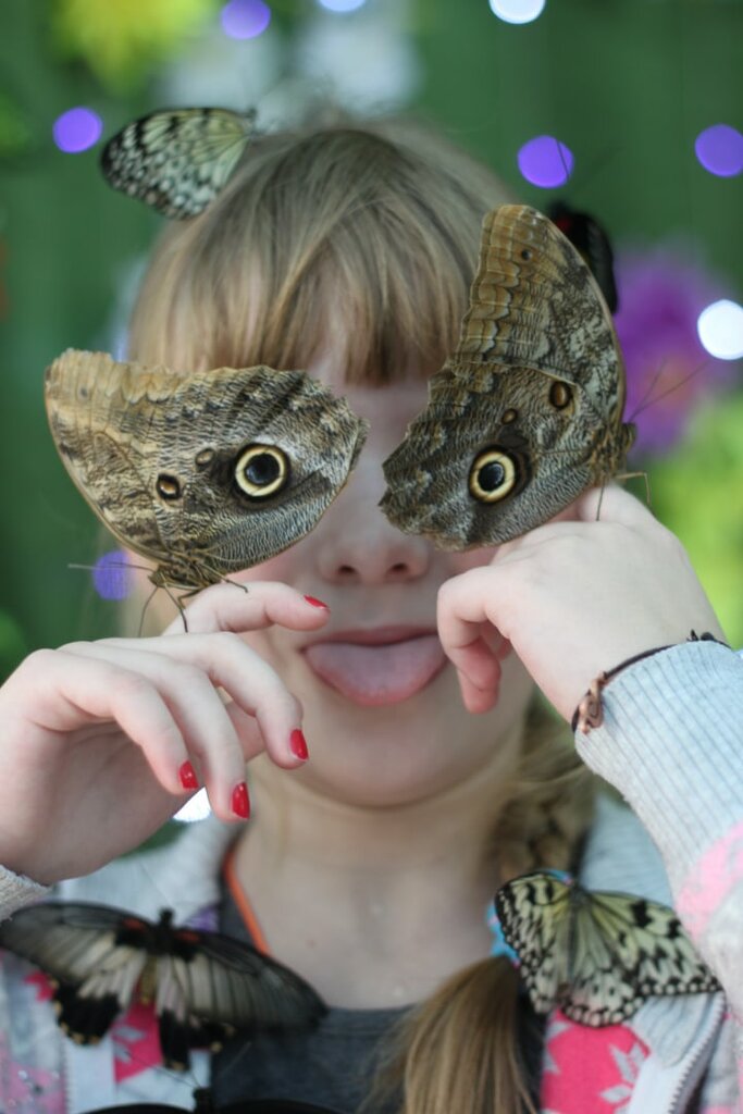 Sergi salonları, galeriler Выставка живых бабочек, Yekaterinburg, foto