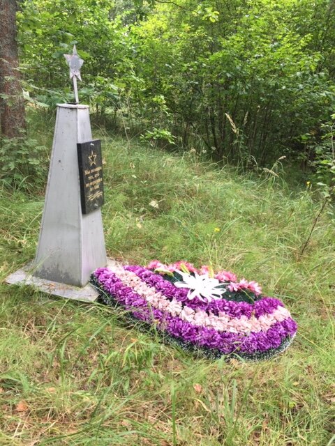 Anıt, heykel Братские воинские могилы, Pskovskaya oblastı, foto