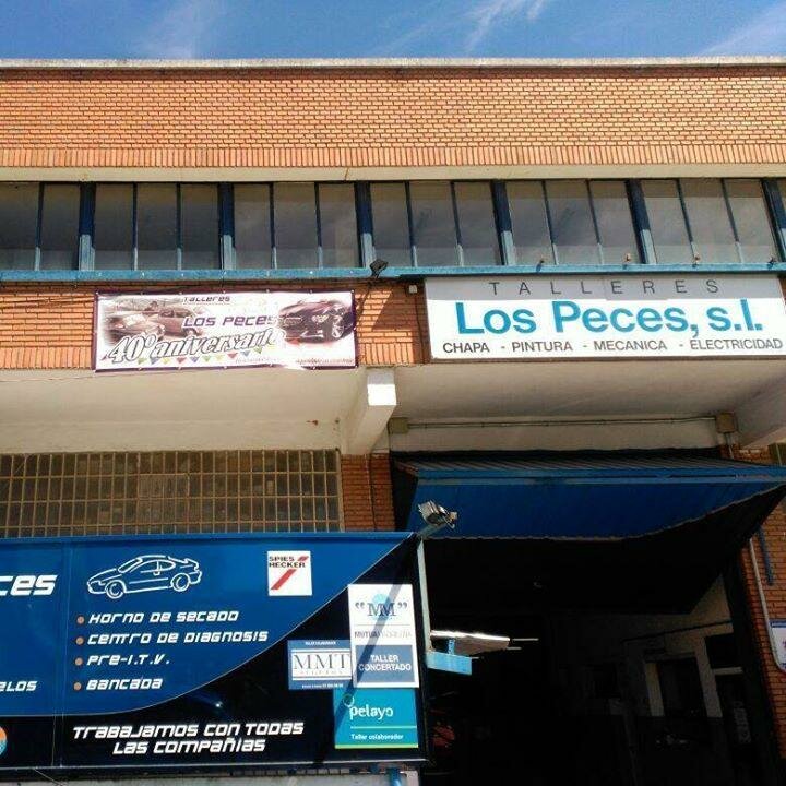 Otomobil servisi Talleres Los Peces, , foto