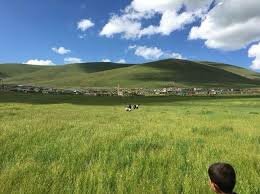 Muhtarlıklar Küçük Yusuf Köy Muhtarlığı, Kars, foto