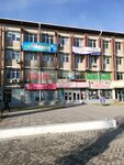 1C (Abaya Avenue No:98), muhasebeciler  Taraz'dan