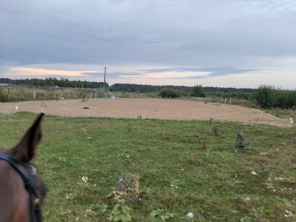At ve binicilik kulüpleri Конный клуб Кураж, Saint‑Petersburg ve Leningradskaya oblastı, foto