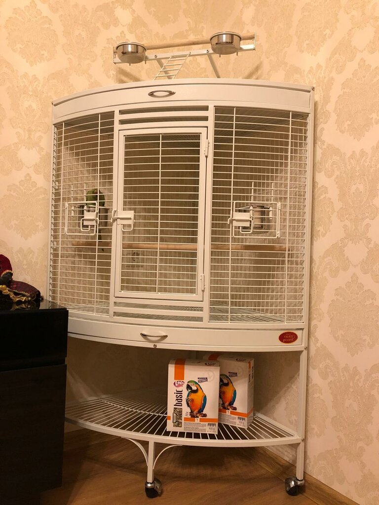 Evcil hayvanlar için ürünler Vektor, Moskova, foto