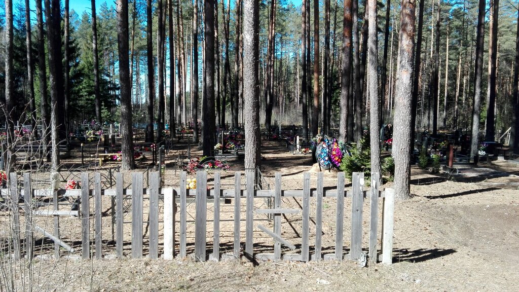 Mezarlıklar кладбище Заборье, Minskaya oblastı, foto