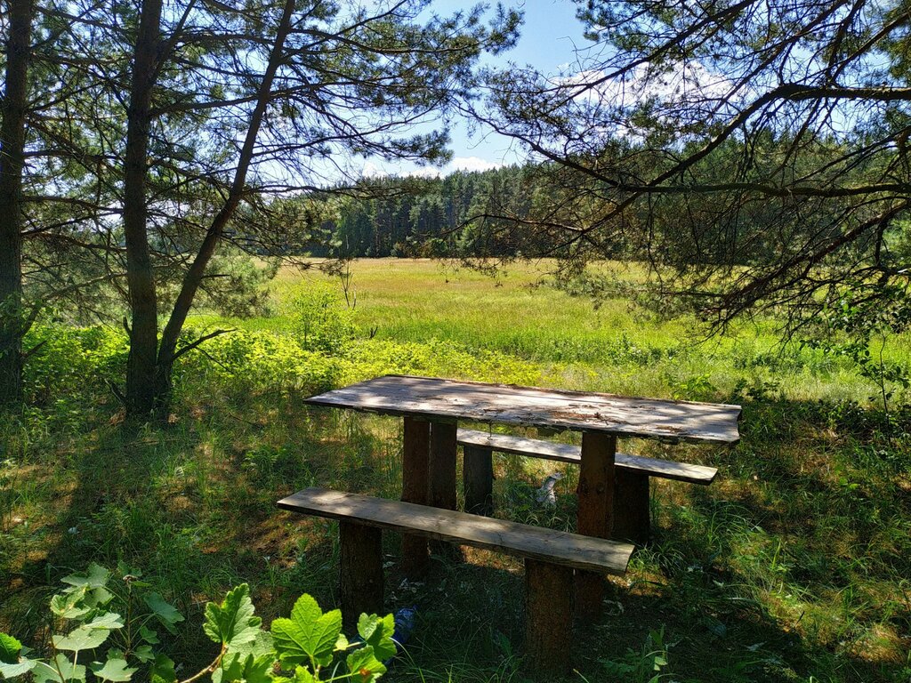 Piknik alanı Место для пикника, Grodnenskaya oblastı, foto